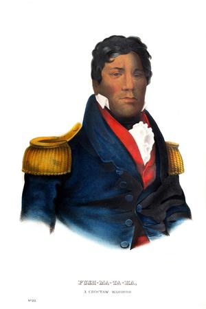 'Pushmataha, a Choctaw warrior' Giclee Print - Charles Bird King ...