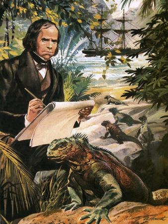 'Charles Darwin on the Galapagos Islands' Giclee Print - Andrew Howat ...