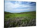 Big Basin Prairie Preserve, Kansas, USA Photographic Print - Charles ...
