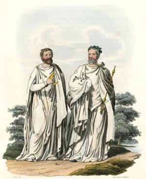 Charles Hamilton Smith Posters, Prints, Paintings & Wall Art ...