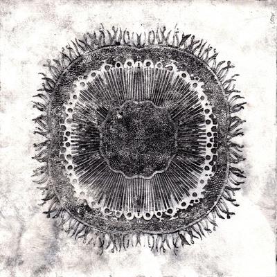 Plant Cells, 2019 (Dry Point Etching) Giclee Print - Charlotte Orr ...