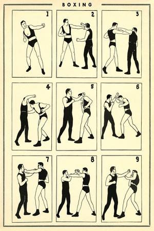 'Chart of Boxing Moves' Prints | AllPosters.com