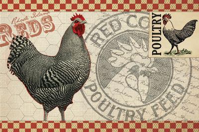 'Checkered Chickens - Image 3' Giclee Print - The Saturday Evening Post ...