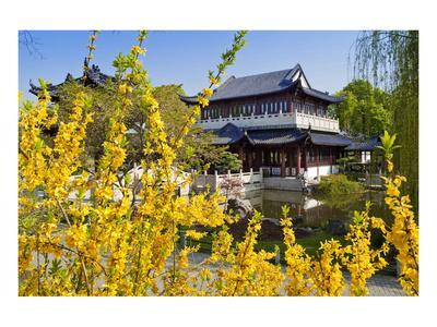 'Chinese Tea House in the Chinese Garden, Luisenpark, Mannheim, Baden ...