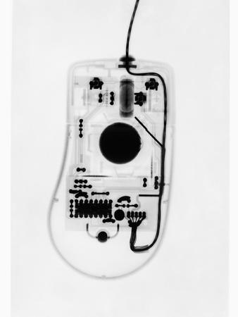 'X-Ray of a Computer Mouse' Photographic Print - Chris Rogers ...