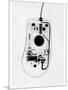 'X-Ray of a Computer Mouse' Photographic Print - Chris Rogers ...