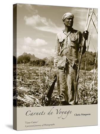 'Cane Cutter' Stretched Canvas Print - Chris Simpson | AllPosters.com