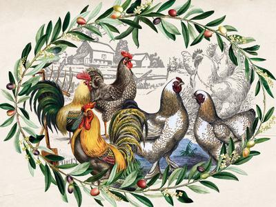 'Rooster Crew' Prints - Christina Rae | AllPosters.com