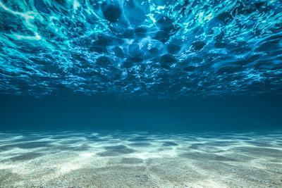 'Ocean Bottom, View Beneath Surface' Photographic Print - Cico ...