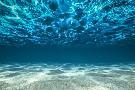 'Ocean Bottom, View Beneath Surface' Photographic Print - Cico ...