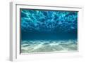 'Ocean Bottom, View Beneath Surface' Photographic Print - Cico ...