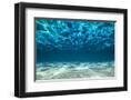 'Ocean Bottom, View Beneath Surface' Photographic Print - Cico ...
