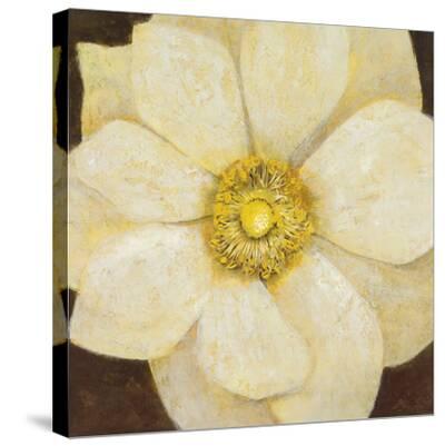 Chocolate And Cream II Stretched Canvas Print - Citrine | AllPosters.com