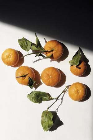 'Citrus Still - Collection' Giclee Print - Irene Suchocki | AllPosters.com
