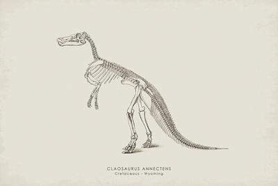 'Claosaurus' Giclee Print - The Vintage Collection | AllPosters.com