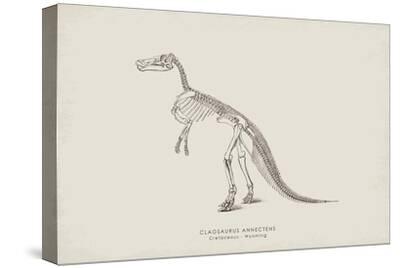'Claosaurus' Stretched Canvas Print - The Vintage Collection ...