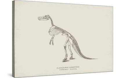 'Claosaurus' Stretched Canvas Print - The Vintage Collection ...