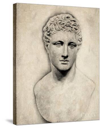 'Classical Study - Perseus' Stretched Canvas Print - Bill Philip ...