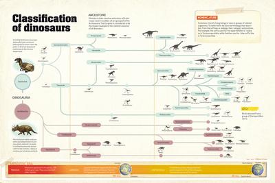 'Classification of dinosaurs.' Photographic Print | AllPosters.com