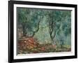 Olive Trees in the Moreno Garden, 1884 Giclee Print - Claude Monet ...