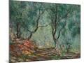 Olive Trees in the Moreno Garden, 1884 Giclee Print - Claude Monet ...