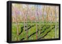 'Claude Monet Trees in Winter Look at Bennecourt Art Print Poster ...
