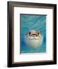 'Close-up of a Puffer Fish, Bahamas' Photographic Print | AllPosters.com