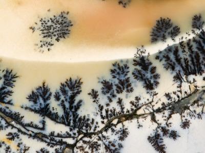 'Close-Up of Amethyst Sage Agate, Nevada, USA' Photographic Print ...