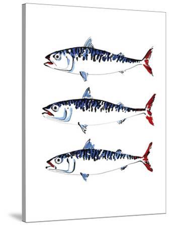 'Coastal Catch - Fish' Stretched Canvas Print - Kristine Hegre ...