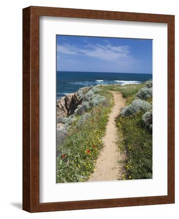 'Coastal Path with Spring Flowers, Near Chania, Chania Region, Crete ...