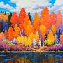 'High Country Color' Giclee Print - Cody DeLong | AllPosters.com