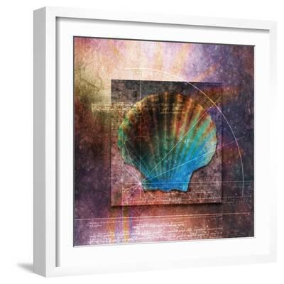 'Colorful Clam Shell and Geometry' Photographic Print - Colin Anderson ...