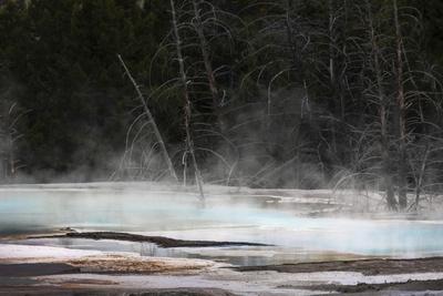 'Colorful hot spring on top of Canary Spring, Mammoth Hot Springs ...
