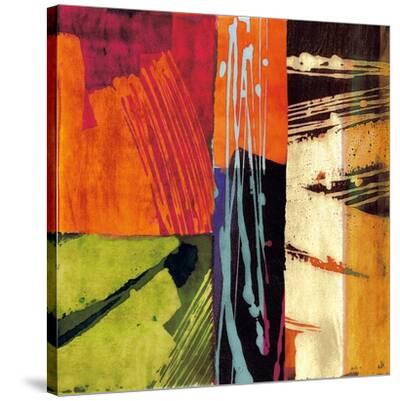 'Colors II' Stretched Canvas Print - Andy James | AllPosters.com