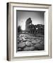 'Colosseum and Via Sacra, Rome, Italy' Photographic Print - Michele ...