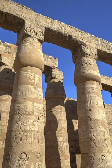 Columns In The Court Of Ramses Ii Luxor Temple Luxor Thebes Egypt North Africa Africa columns-in-the-court-of-ramses-ii-luxor-temple-luxor-thebes-egypt-north-africa-africa