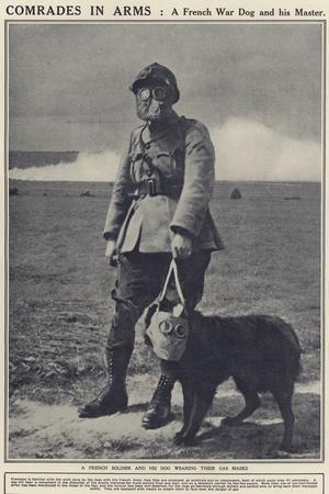 'Comrades in Arms' Photographic Print | AllPosters.com