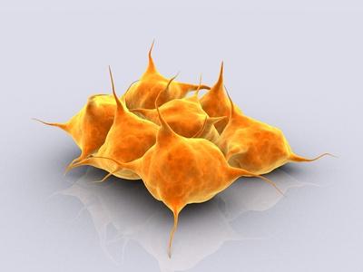 'Conceptual Image of a Group of Platelets' Art | AllPosters.com