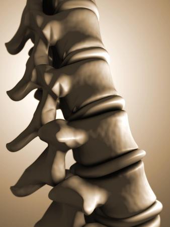 'Conceptual Image of Human Backbone' Posters | AllPosters.com