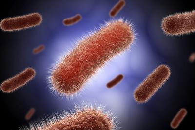 'Conceptual image of the Bacillus bacteria.' Poster - Stocktrek Images ...