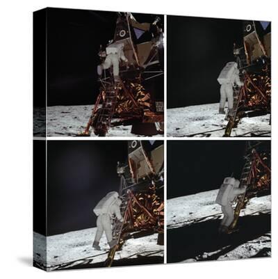 'Eagle Exploration' Stretched Canvas Print - Contemporary Photography ...