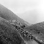 'Contestants in the Grueling Tour De France are Seen on Their Way to ...