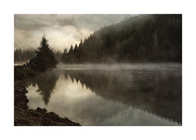 'Coos Fog' Giclee Print - David Lorenz Winston | AllPosters.com