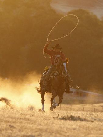 'Cowboy Galloping While Swinging a Rope Lassoo at Sunset, Flitner Ranch ...