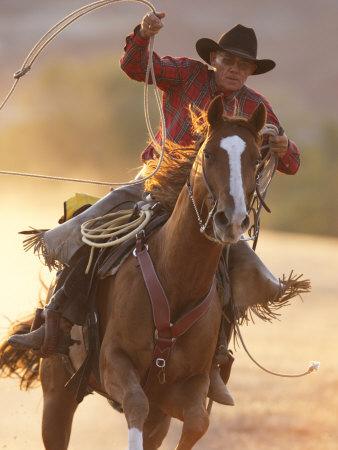 'Cowboy Galloping While Swinging a Rope Lassoo at Sunset, Flitner Ranch ...