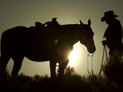 'Cowboy With His Horse at Sunset, Ponderosa Ranch, Oregon, USA ...