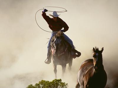 'Cowgirl Lassoing on the Range' Photographic Print - DLILLC ...