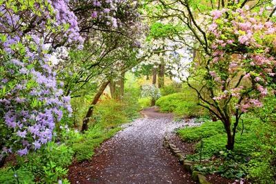 'Spring Flowers Add Beauty to Waterfall at Crystal Springs Garden ...