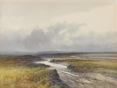'Cranmere Pool, Dartmoor , C.1895-96' Giclee Print - Frederick John ...
