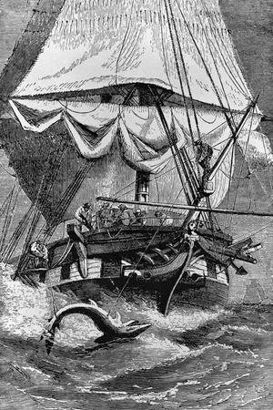 'Crew of Charles Darwin's Ship Shark Fishing' Giclee Print | AllPosters.com